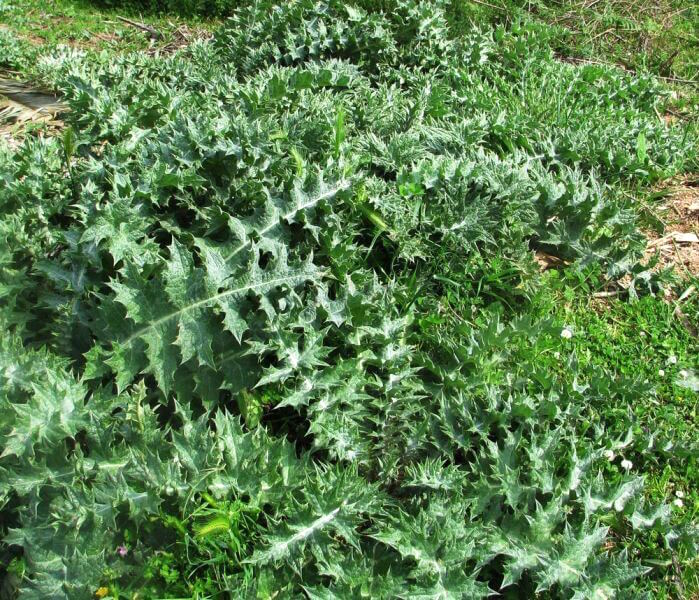 Fez Cooking School | Fez Medina | Morocco